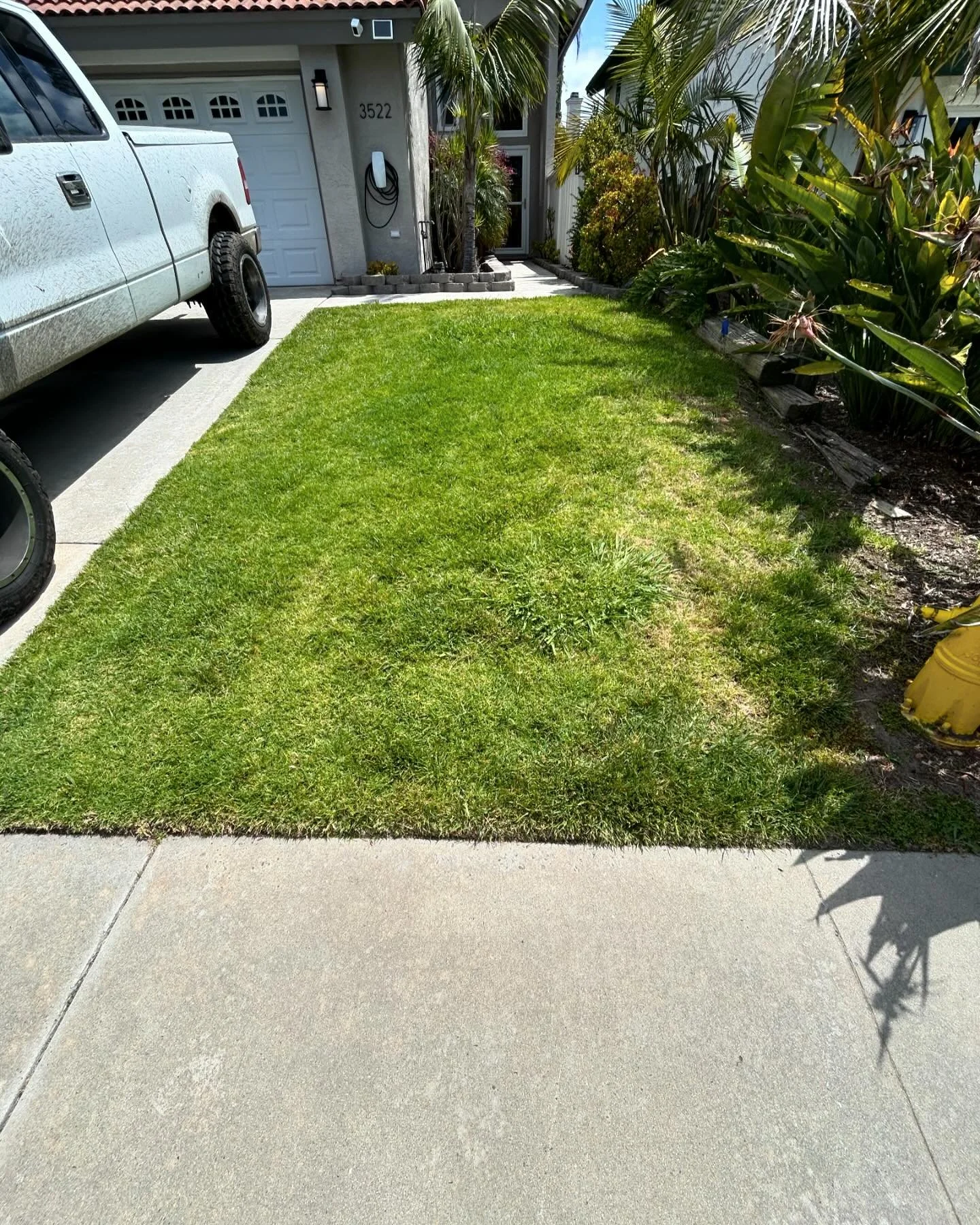 That Aeration Guy! Beautiful real lawns grown from seed! Green grass!