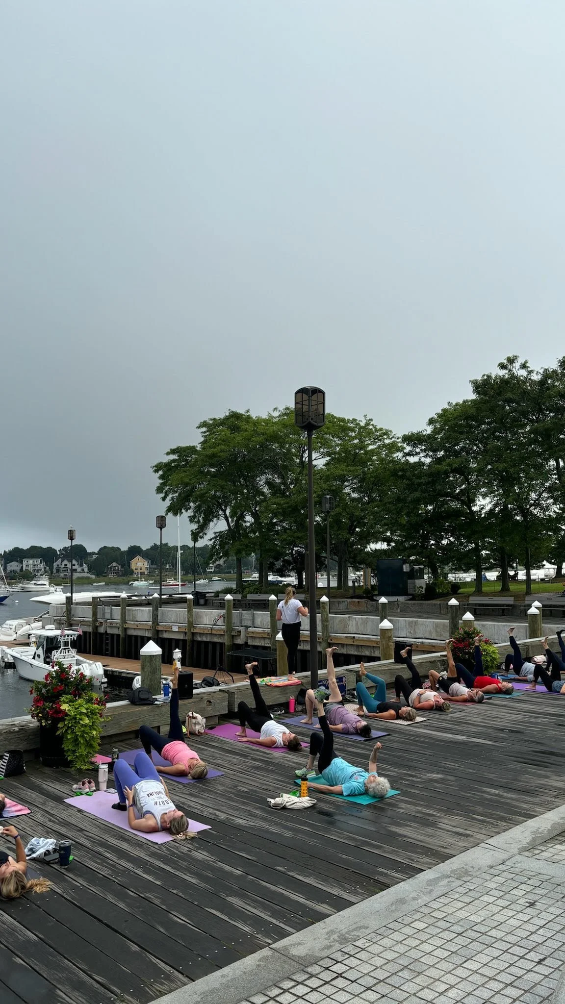 Schedule — Align Step + Strength