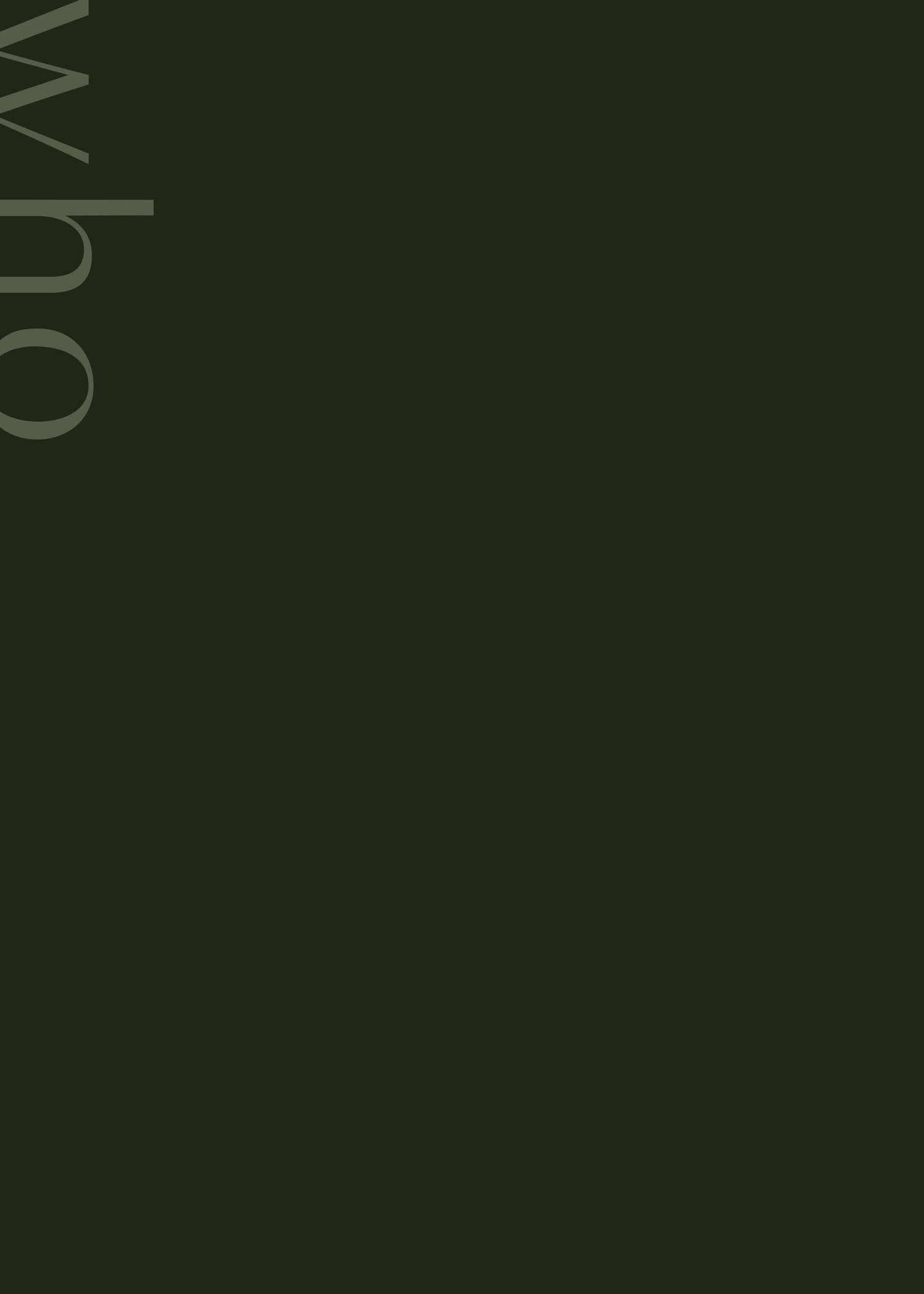 Canberra Wedding Photographer - Blue Ginger Photography