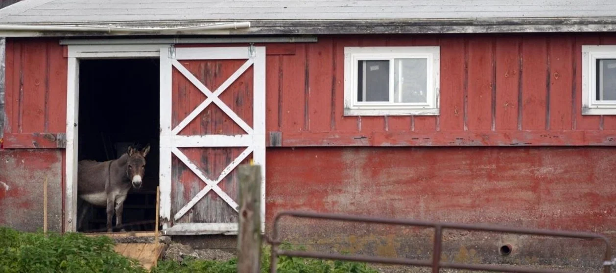 Contact and Directions — HomeFarm