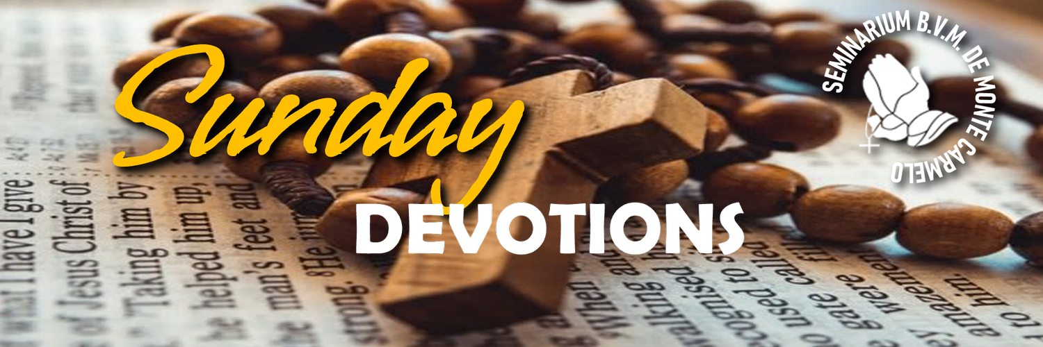 Sunday Devotion — Carmelian Vinculum Caritatis