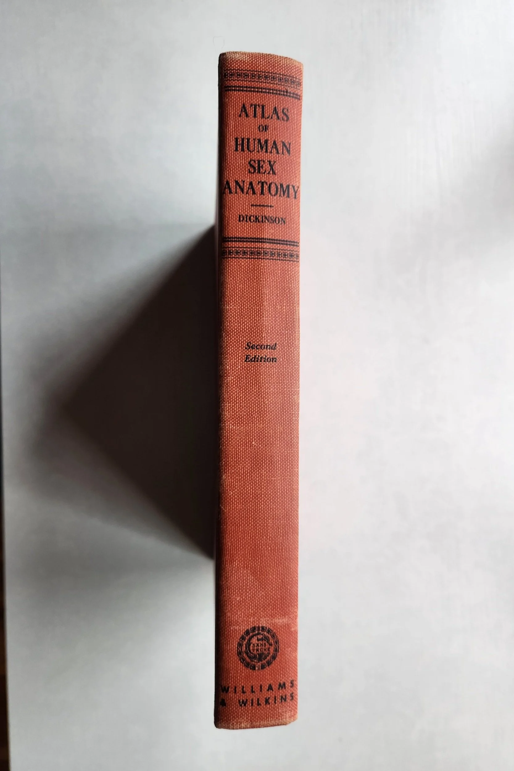 Atlas Of Human Sex Anatomy 2nd Edition 1949 — Milky Way Jewels