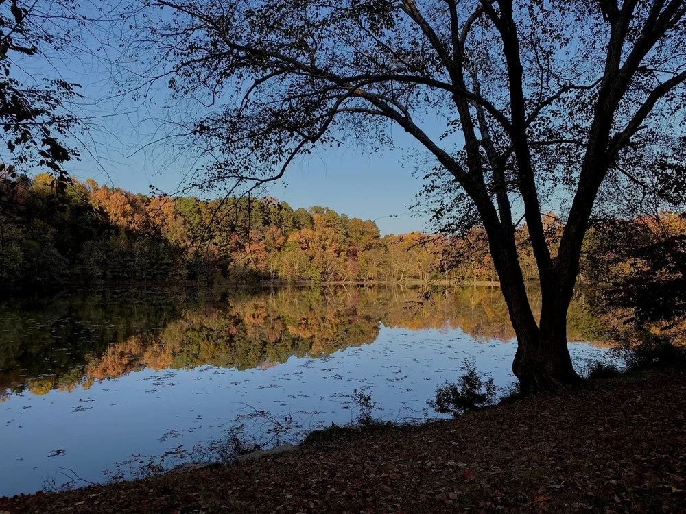 The Raintree Association | Explore Raintree — Join Our Community