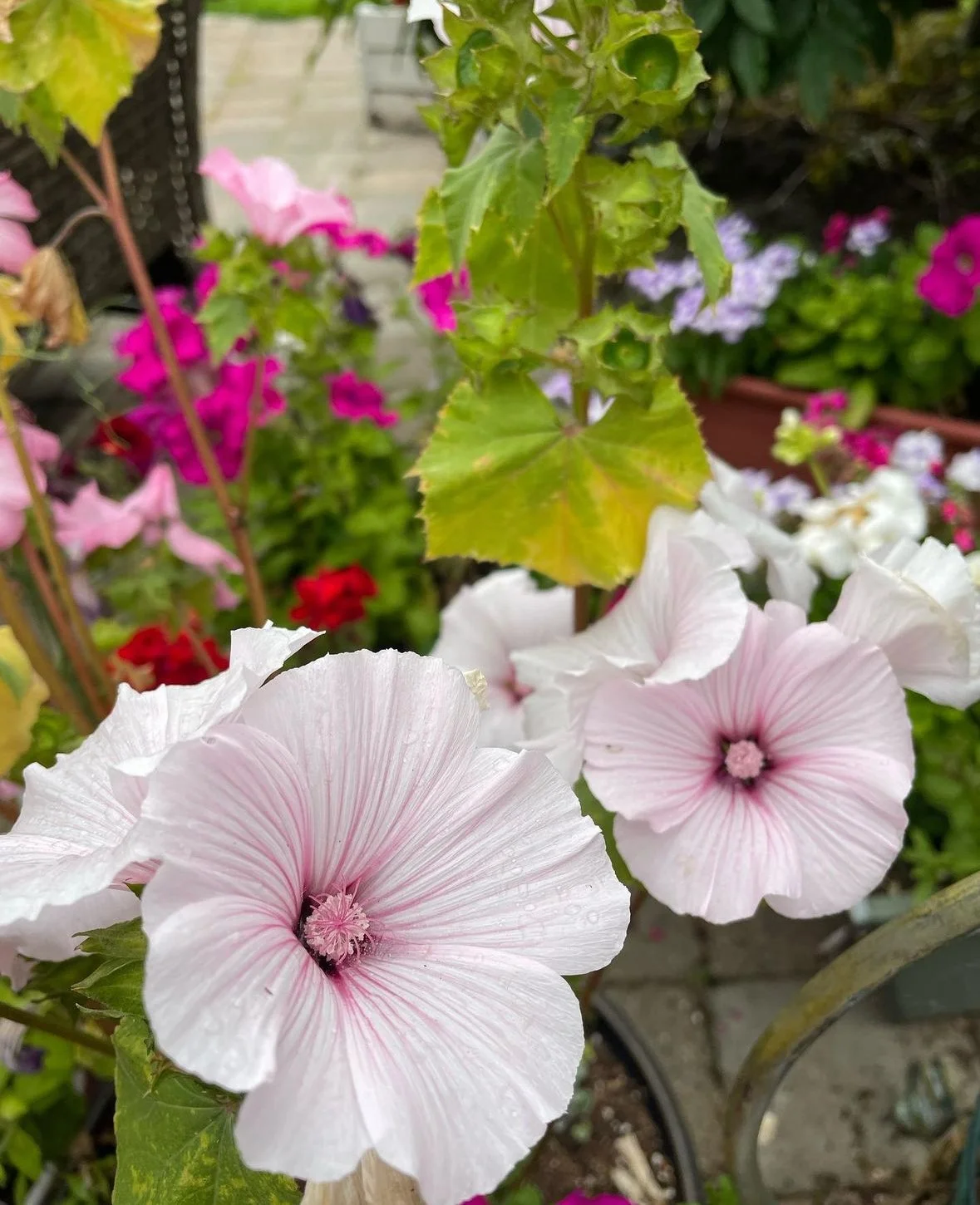 Store 2 — Windmill Ln Flowers