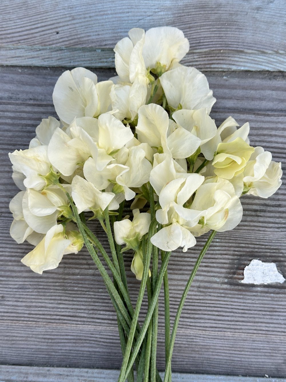 Store 2 — Windmill Ln Flowers