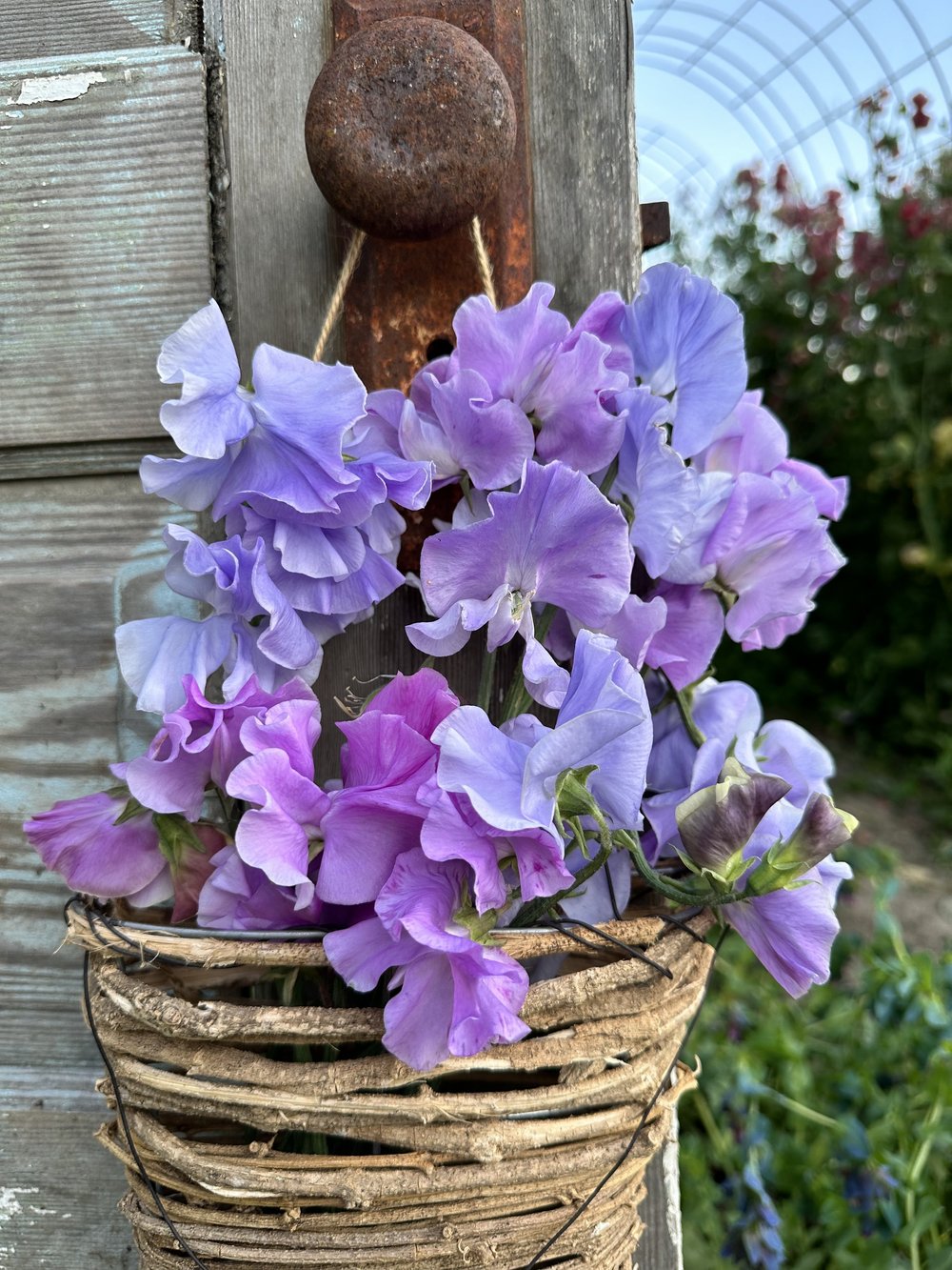 Store 2 — Windmill Ln Flowers