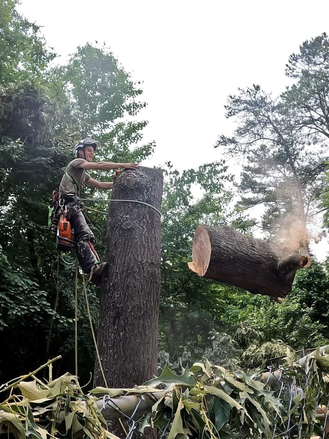 Quality Certified Arborist Tree Service in WNC | Gravity Works Tree Service