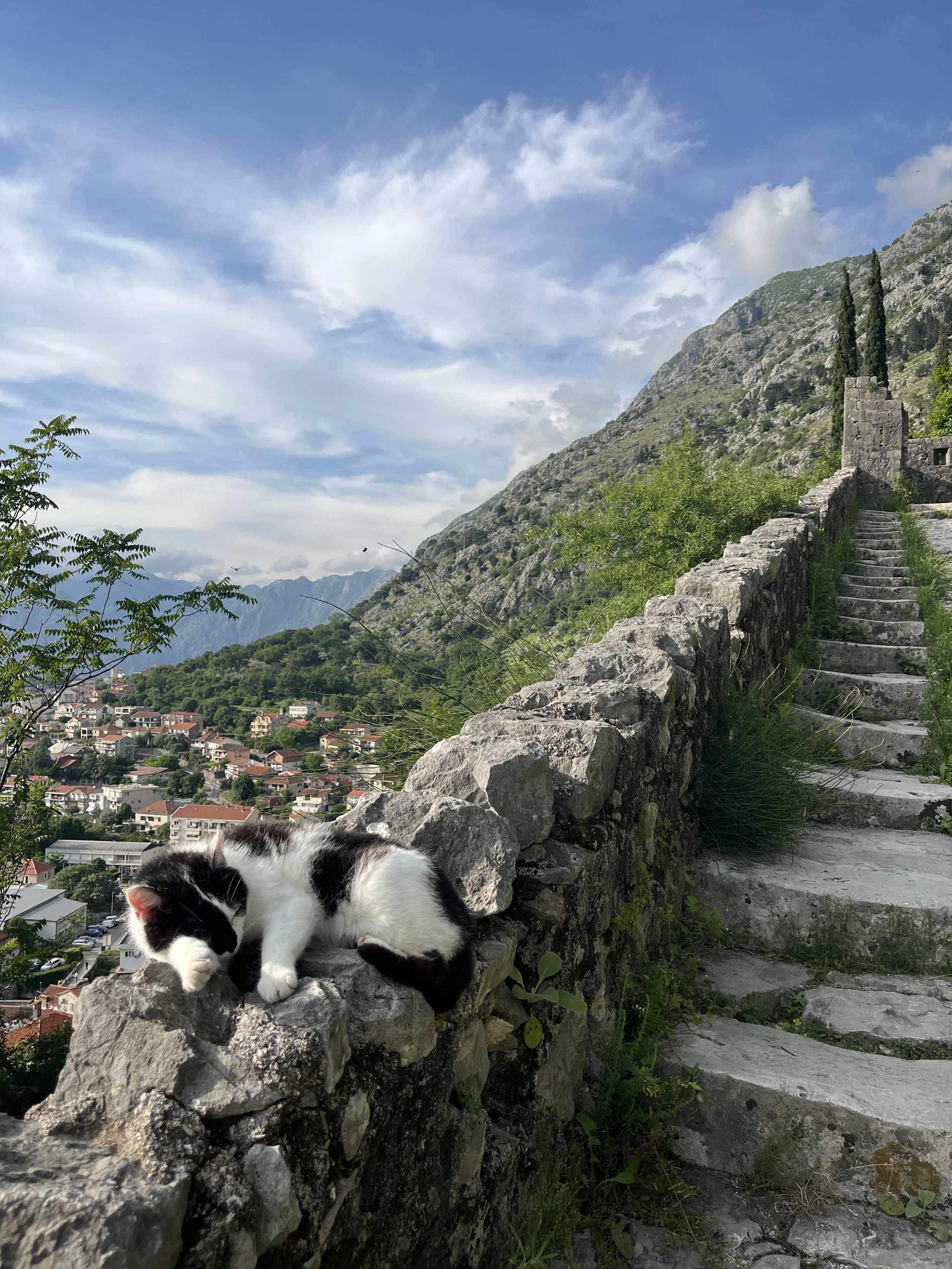 How To Spend 2 Days in Kotor, Montenegro — The Dearden Group