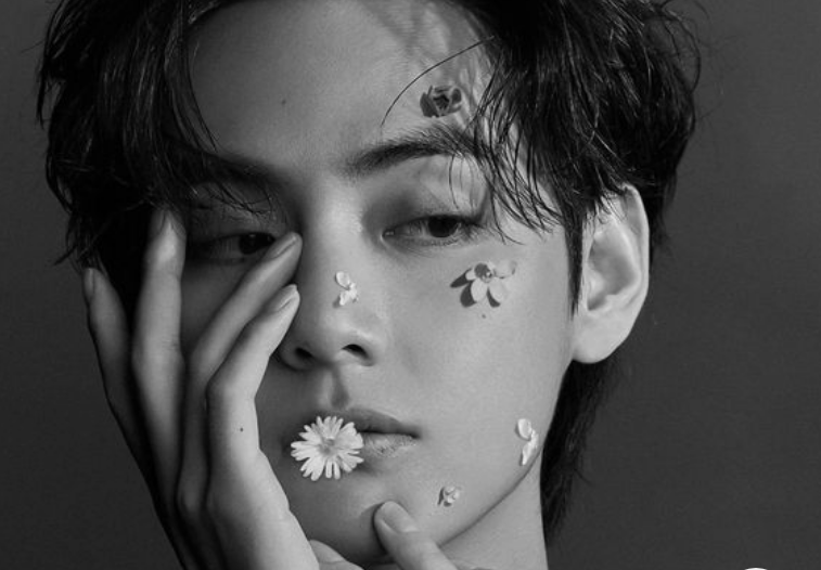 BTS: Who is V? — ARMY Project 529