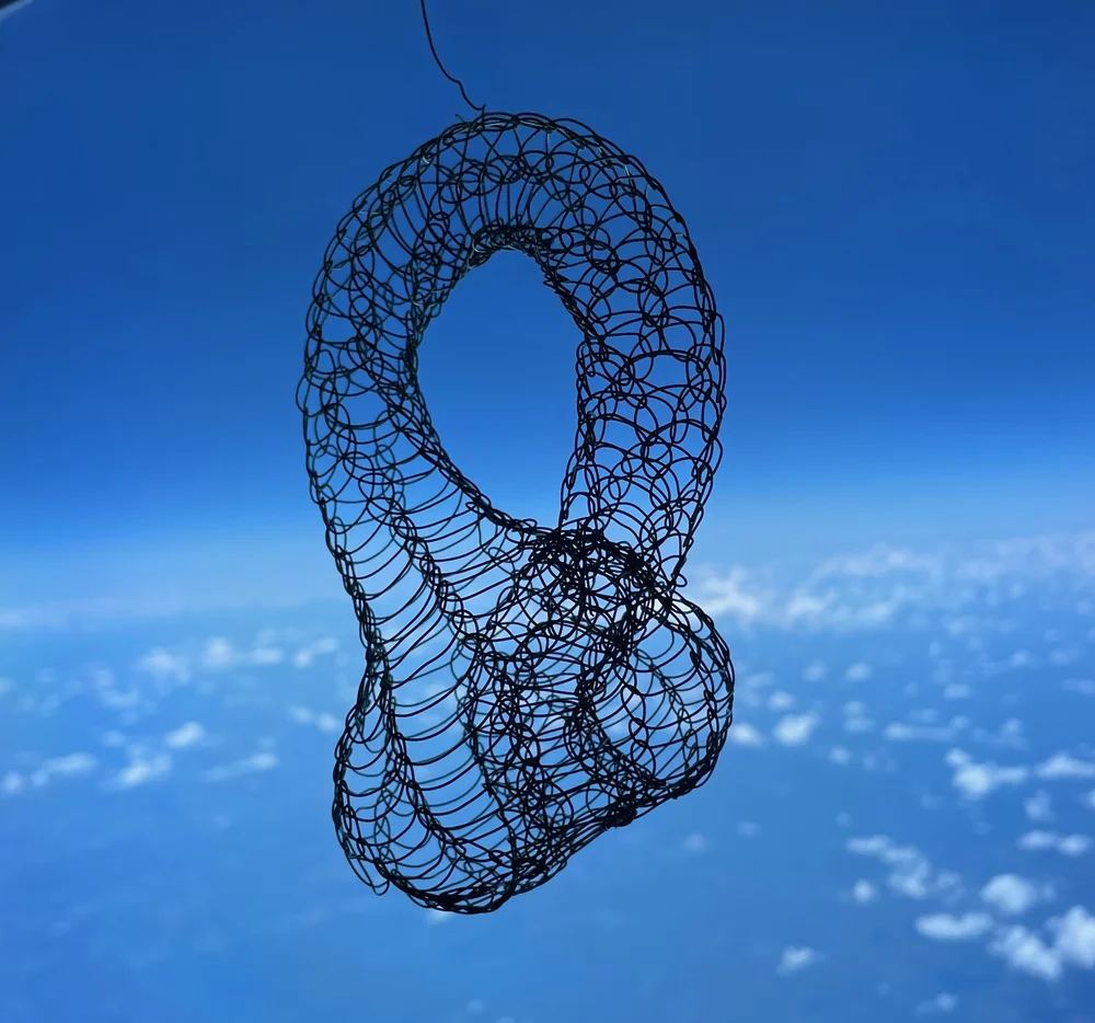 The Klein bottle — MoirArt