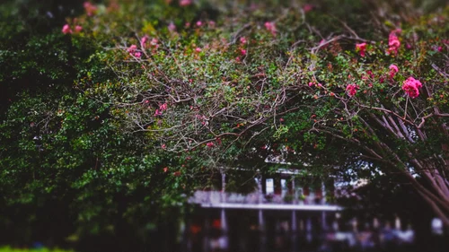 10 Surprising Ways Plants Interact with Humans — WE BITE RARE & UNUSUAL ...