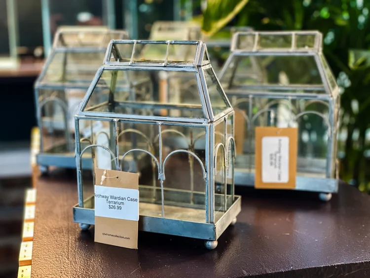 The Tale of the Wardian Case: How a Victorian Experiment Shaped Modern ...