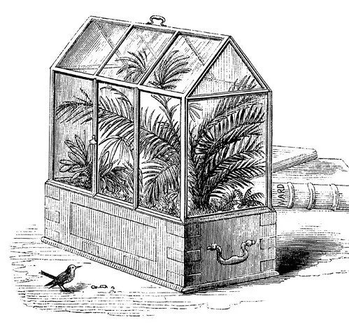 The Tale of the Wardian Case: How a Victorian Experiment Shaped Modern ...