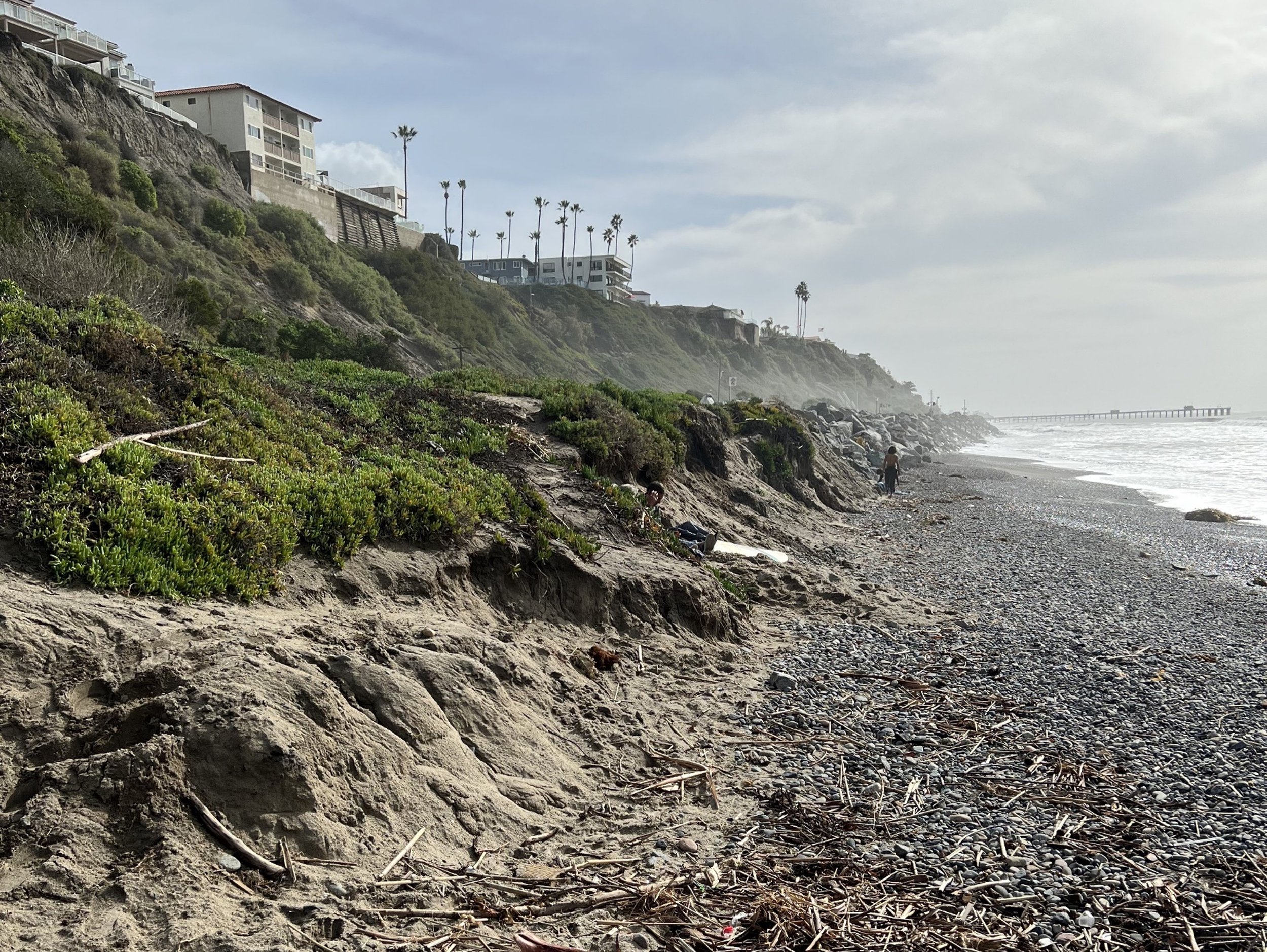 Save Our Beaches San Clemente