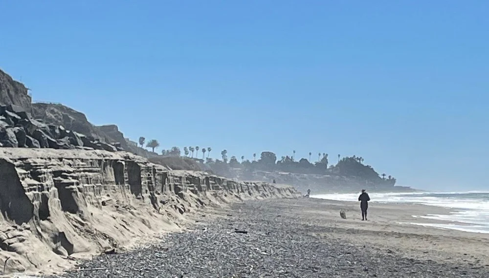 Save Our Beaches San Clemente