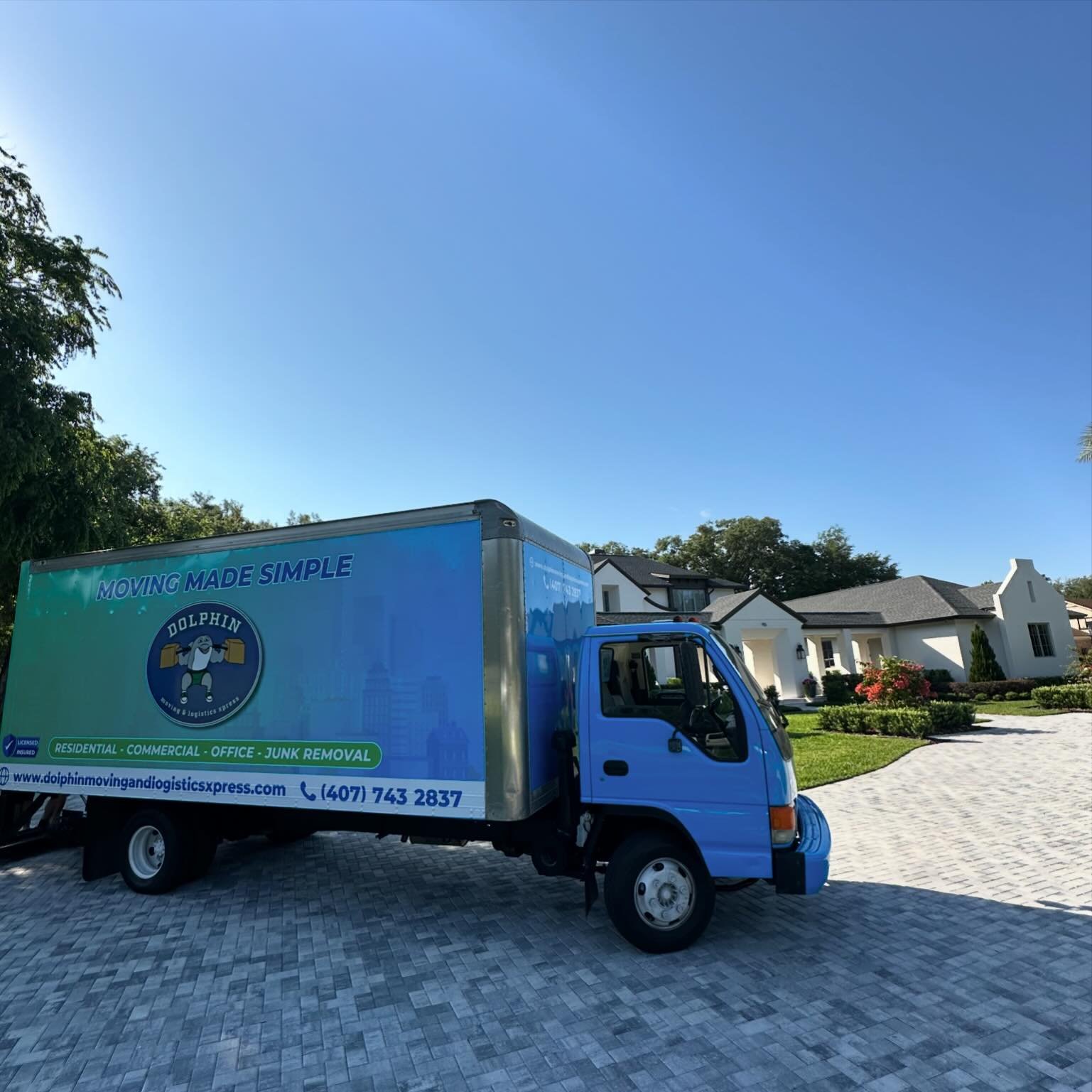 DOLPHIN MOVING