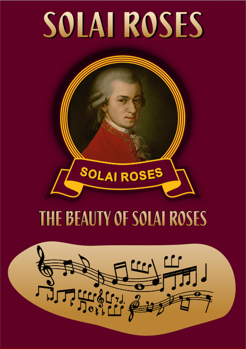 Solai Roses assortment — Solai Roses farm