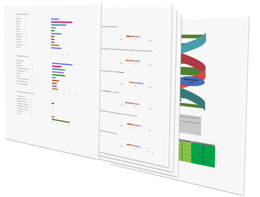 Culture Diagnostics - CultureGenetix - Organizational Culture Partner ...