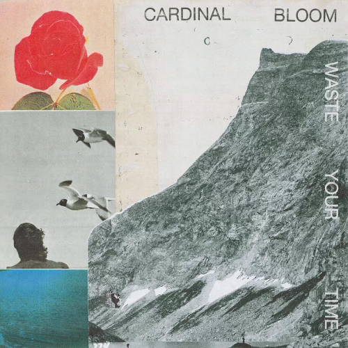 cardinal bloom