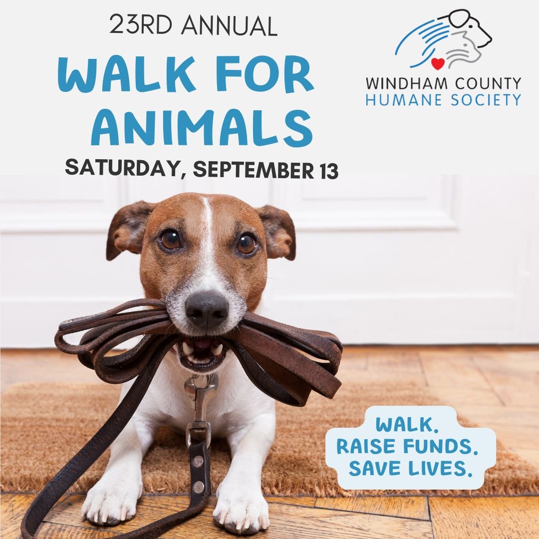 Walk for Animals 2025 — Windham County Humane Society