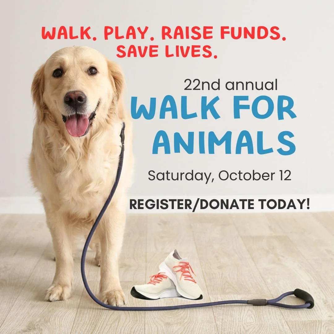 Upcoming Events — Windham County Humane Society