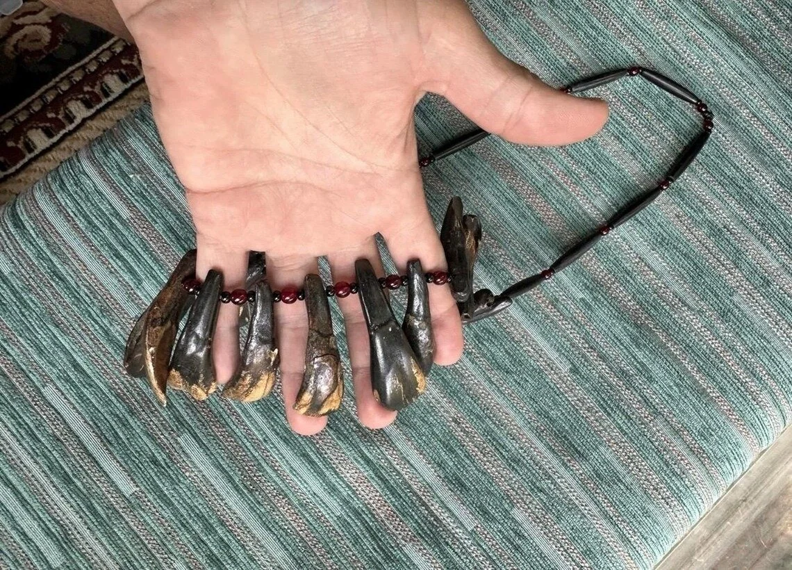 Buffalo tooth necklace — The Crafty Crawford