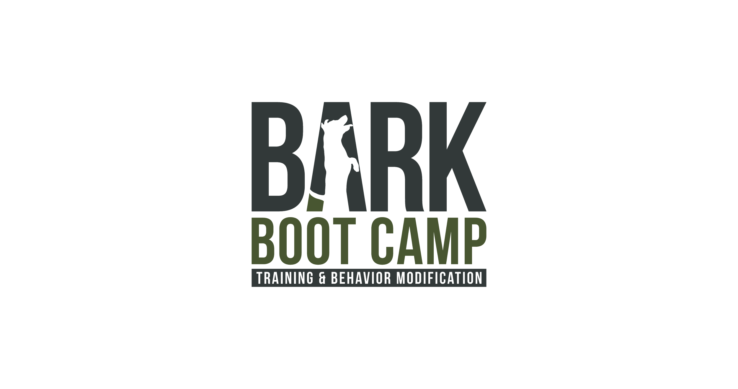 Bark Boot Camp Dog Training