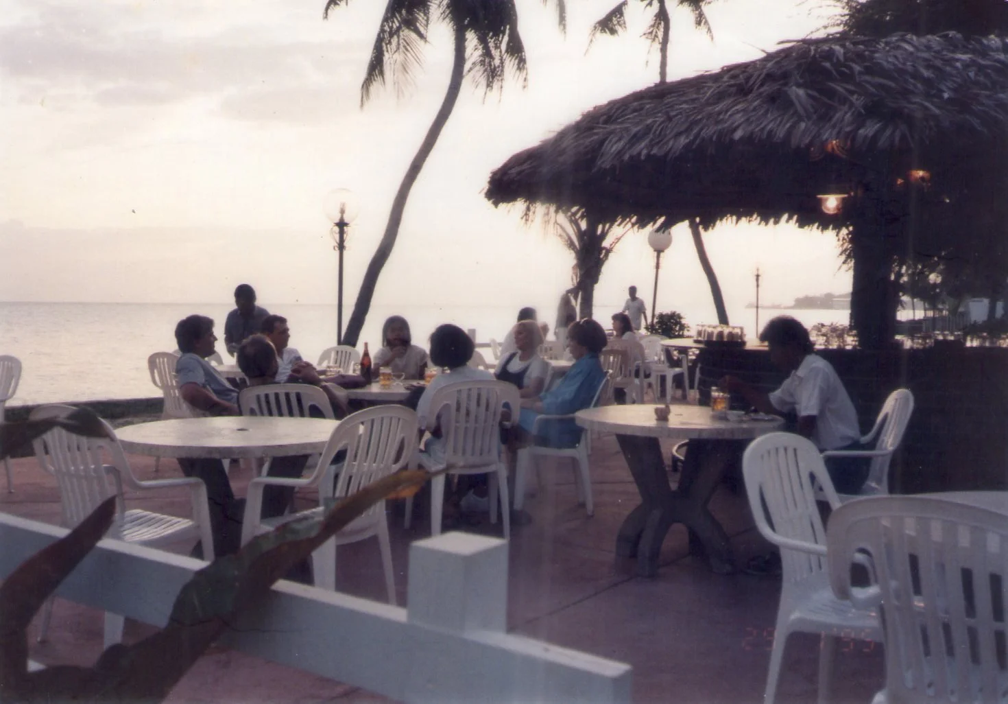 Our Story — Bert's Garden