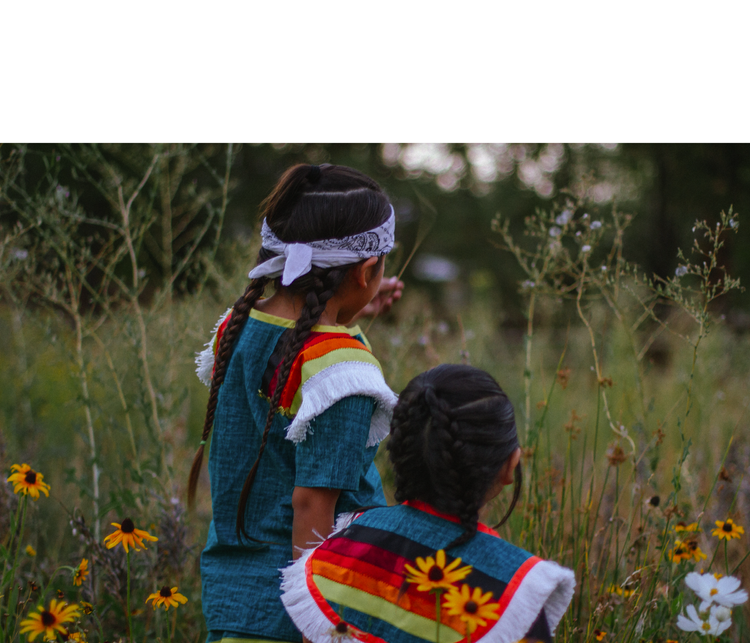 Indigenous Health Equity Institute