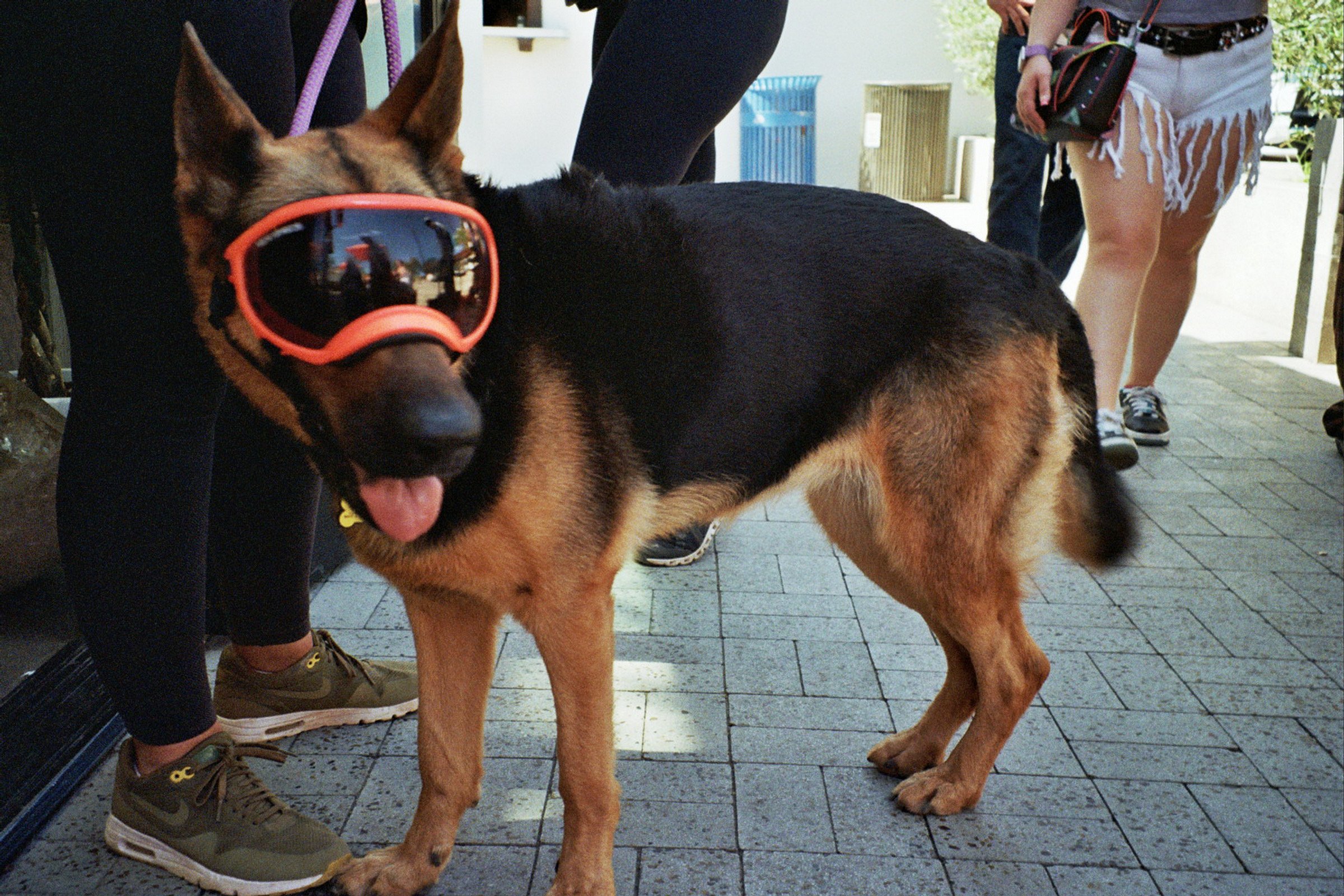 Amanda Swartz Photography