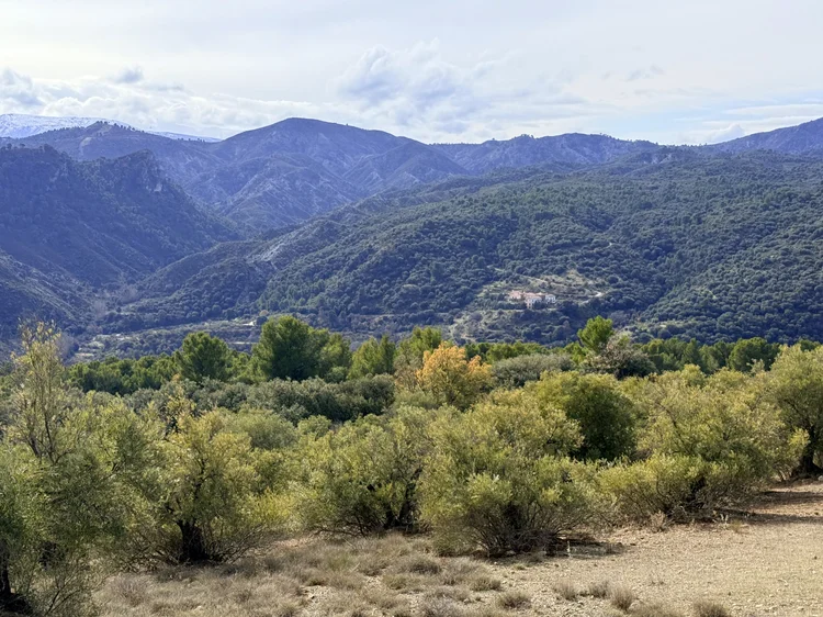 El Señorío de Rías, Diezma, Granada — Granada Village & Country
