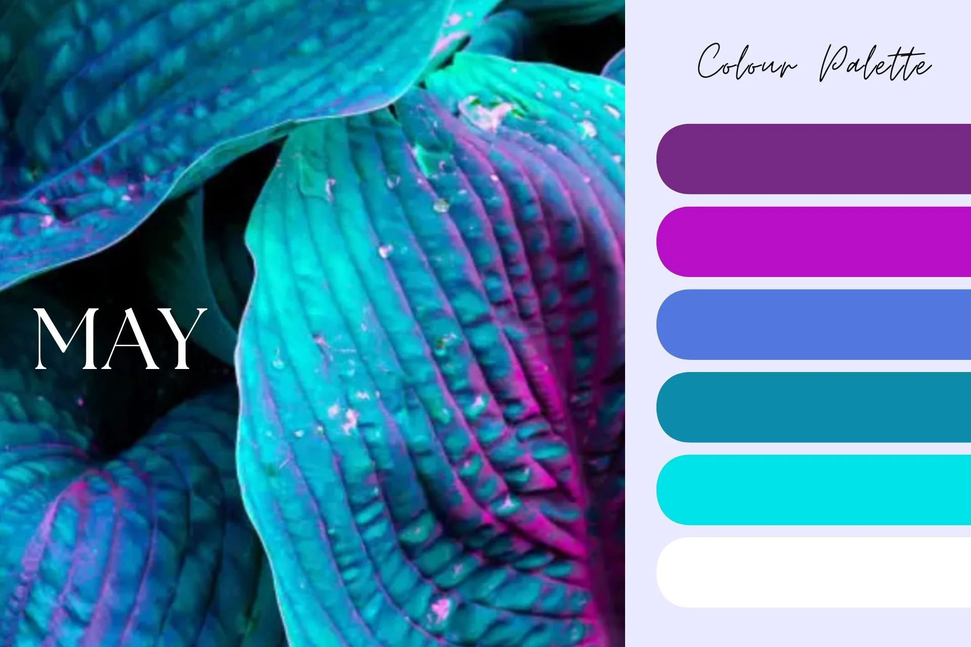 Cool, Calm and Collected: May Colour Palette — Chromagik