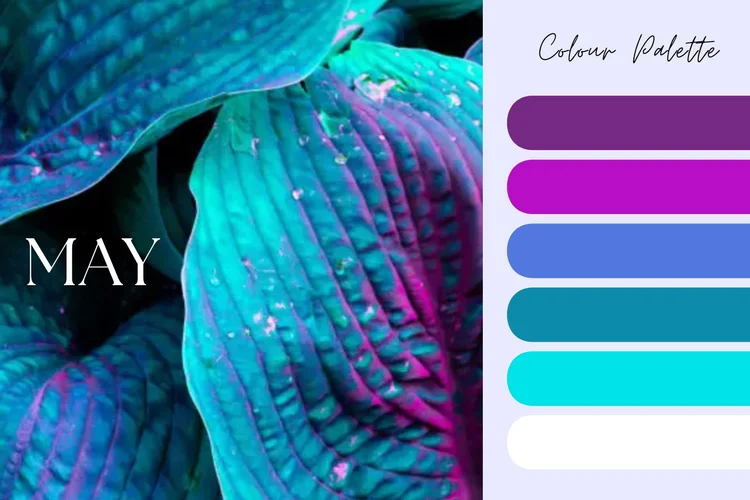 Cool, Calm and Collected: May Colour Palette — Chromagik