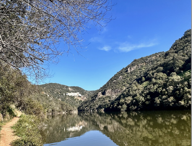 The Field Club New Site