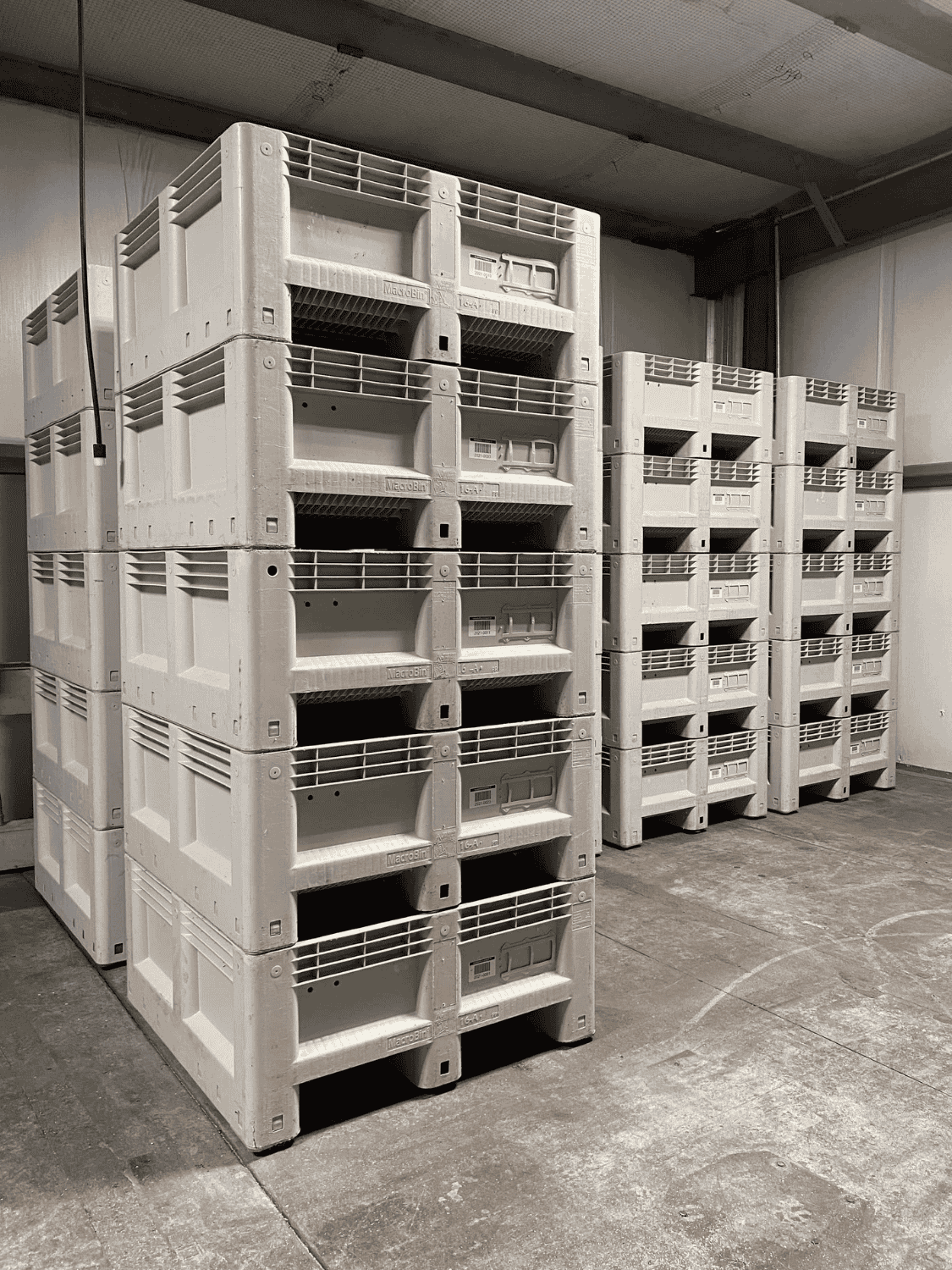Black Soldier Fly Larvae Rearing — Soldier Fly Technologies