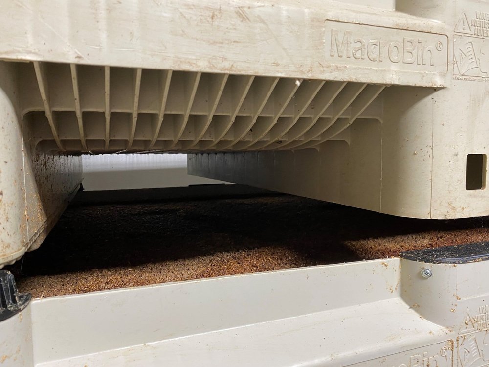 Black Soldier Fly Larvae Rearing — Soldier Fly Technologies