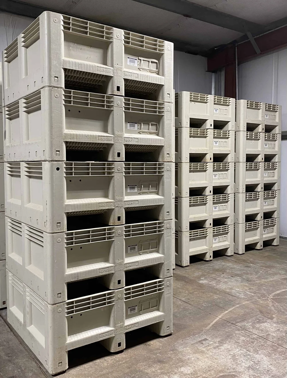 Black Soldier Fly Larvae Rearing — Soldier Fly Technologies