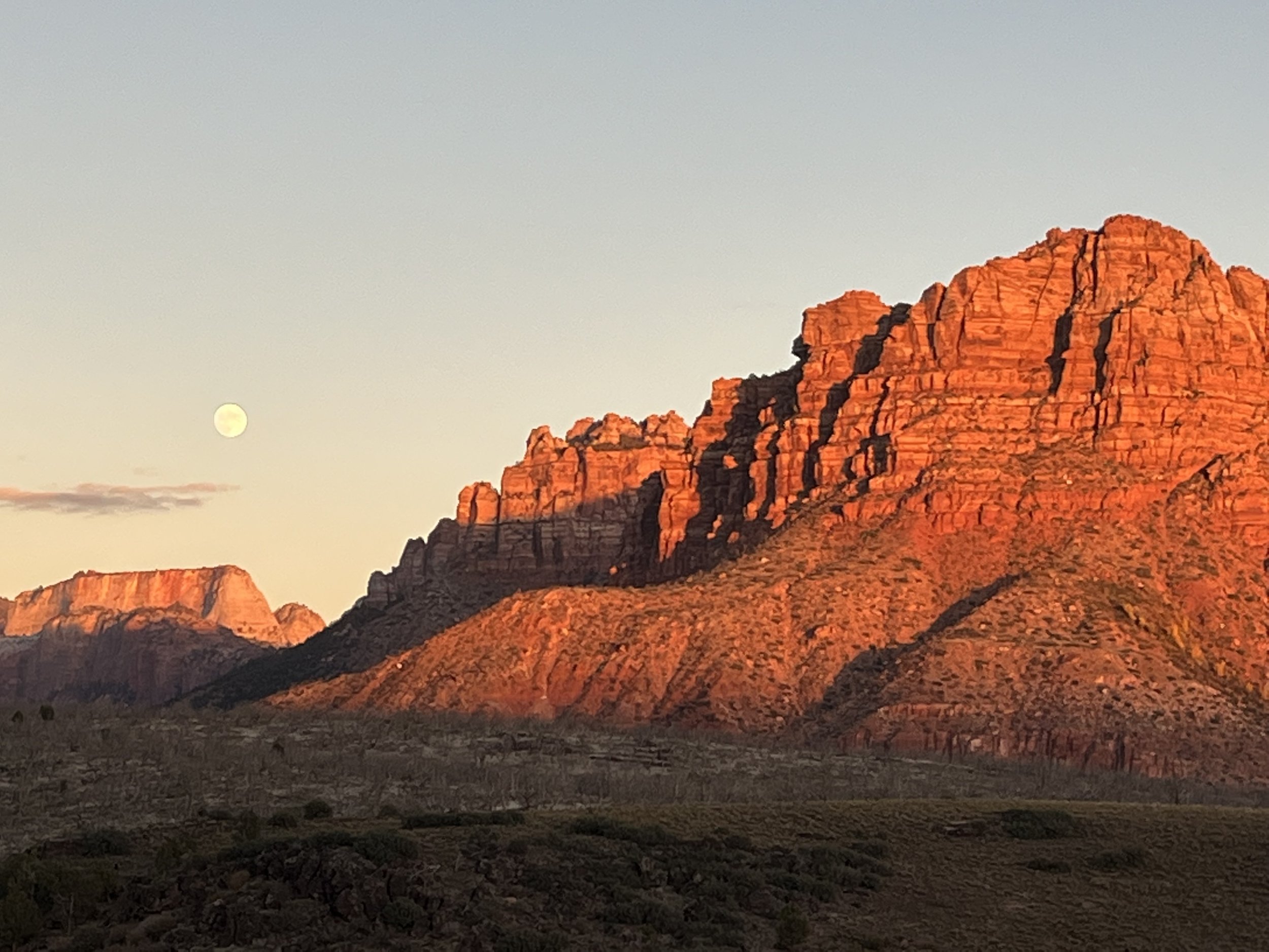 Brand Bonsall - Therapy