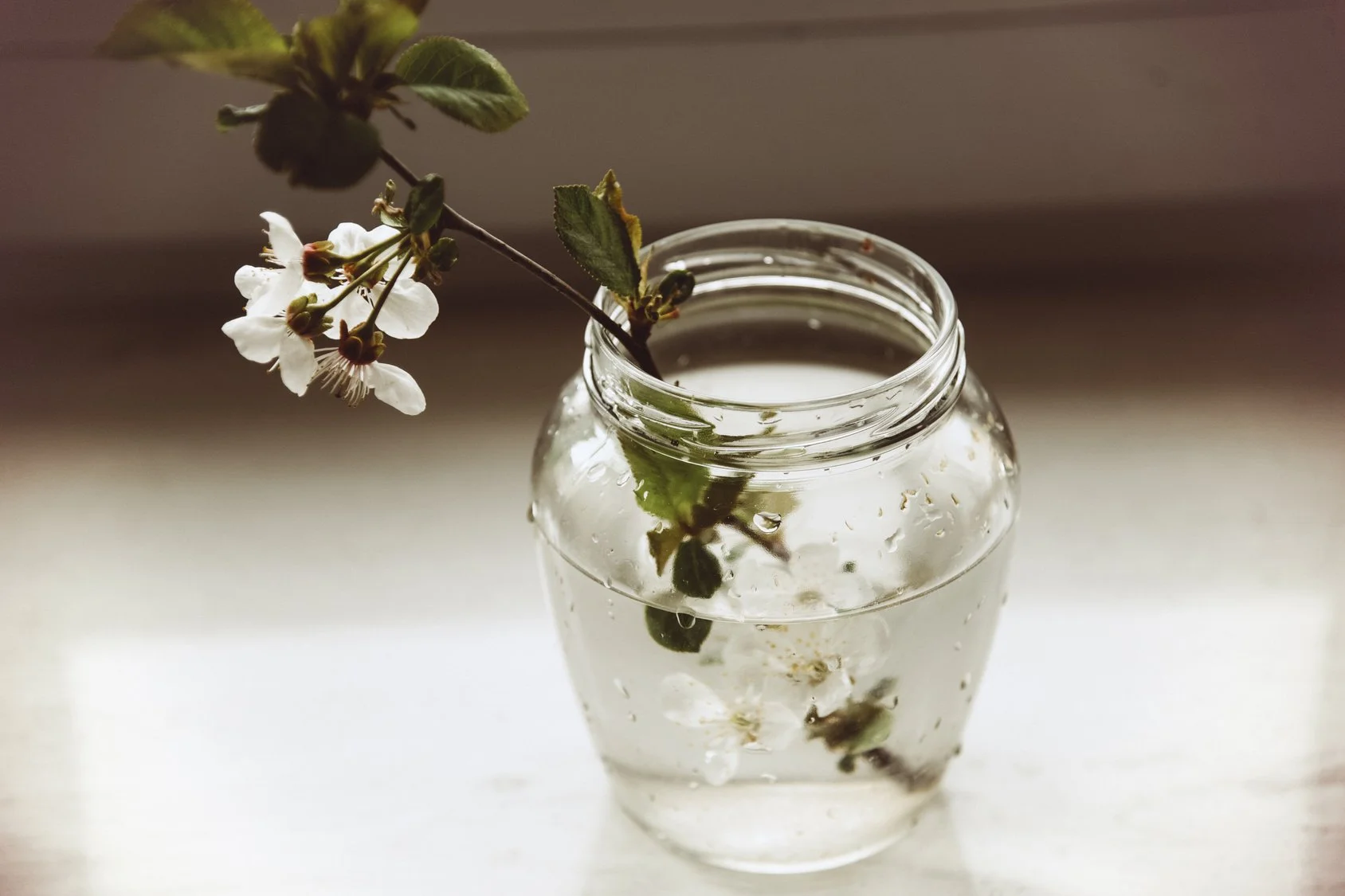 Beauty Beyond Skin Deep | Pure Custom Facial Oils - Botanical Atelier