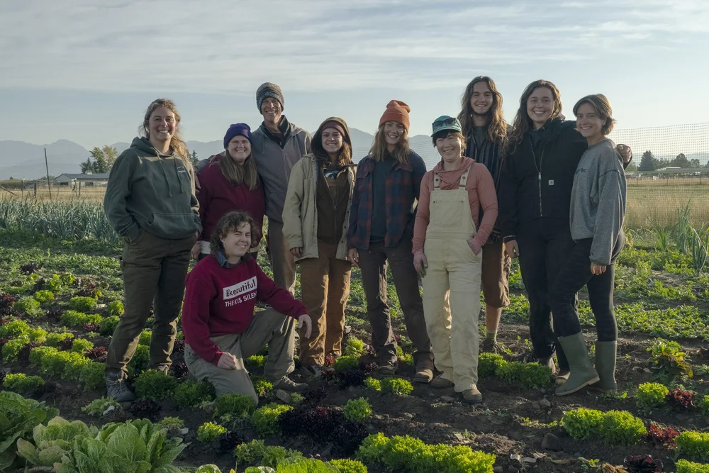 Employment — Chance Farm