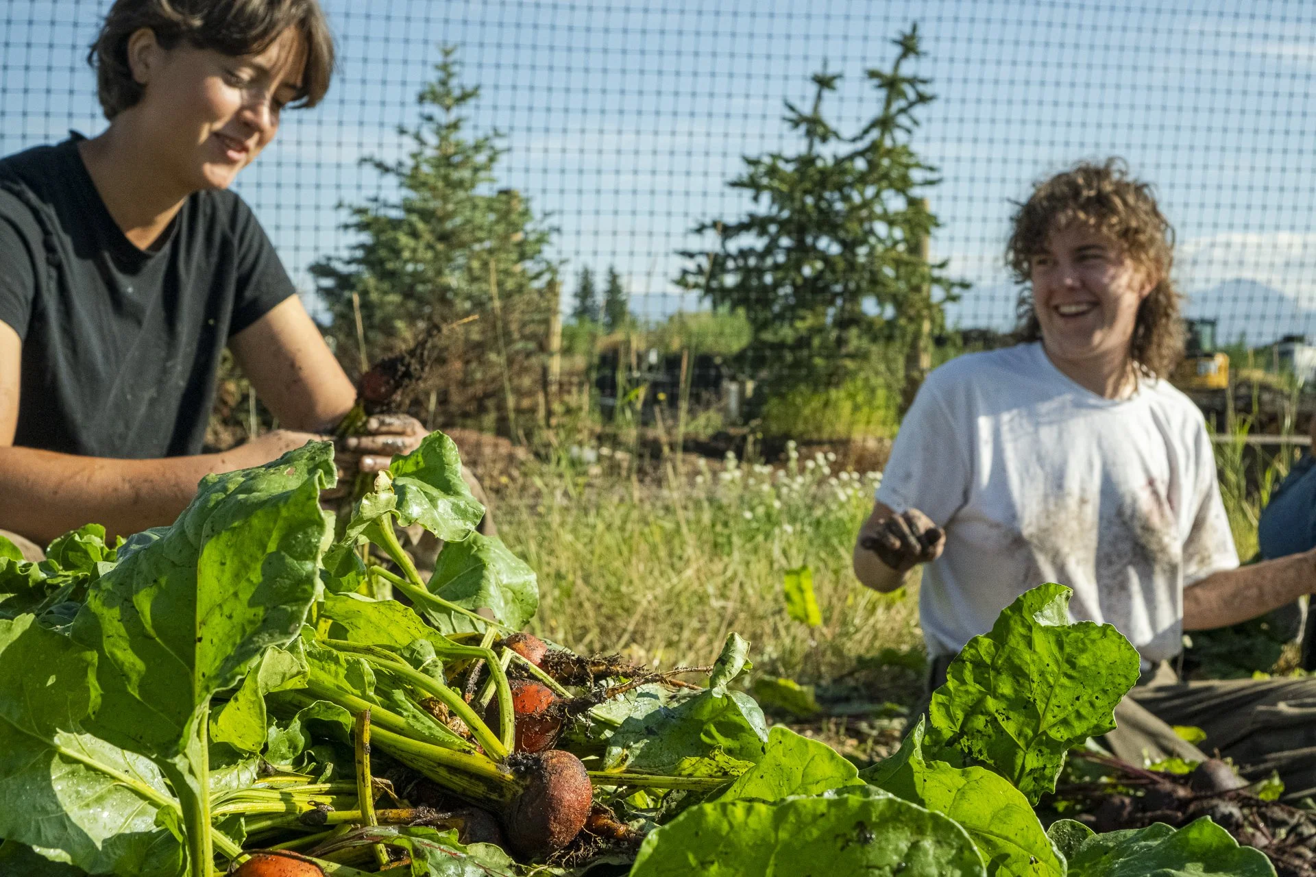 Employment — Chance Farm