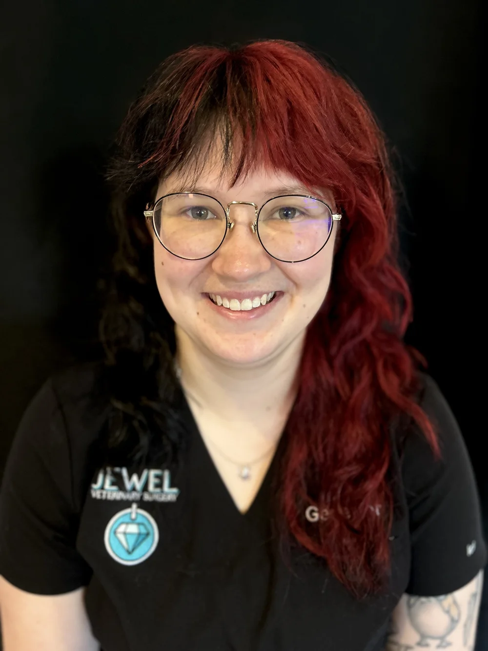 Jewel Veterinary Surgery | Kate Margalit, DVM, DACVS — Jewel Veterinary ...