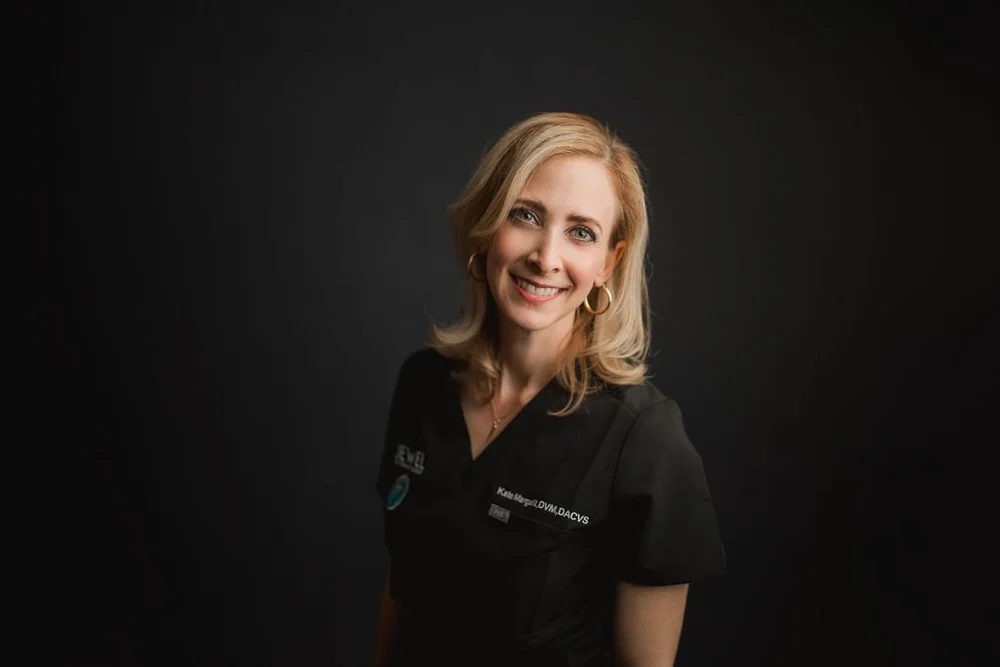 Jewel Veterinary Surgery | Kate Margalit, DVM, DACVS — Jewel Veterinary ...