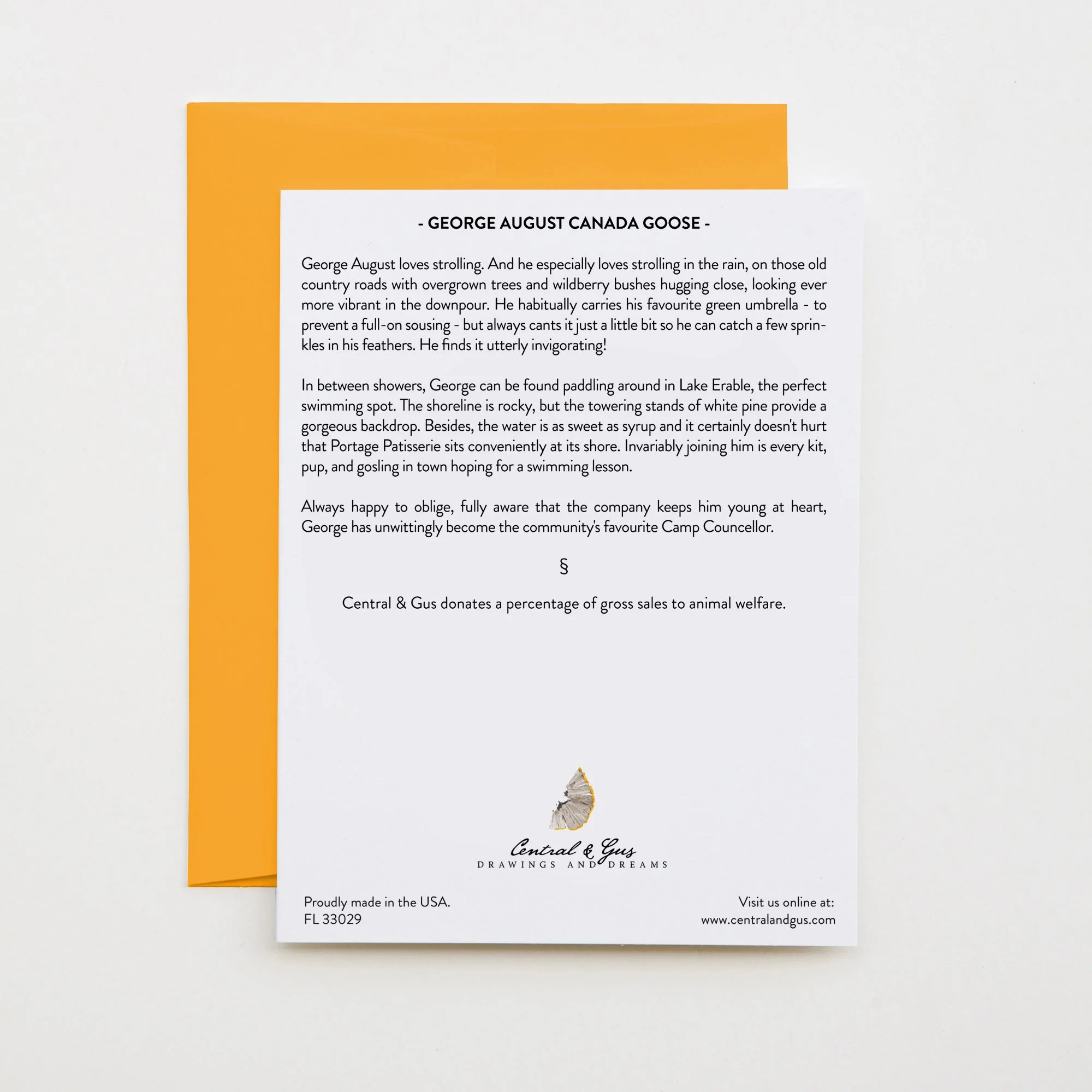 Muldoon Parker Common Map Turtle Note Card — Central & Gus