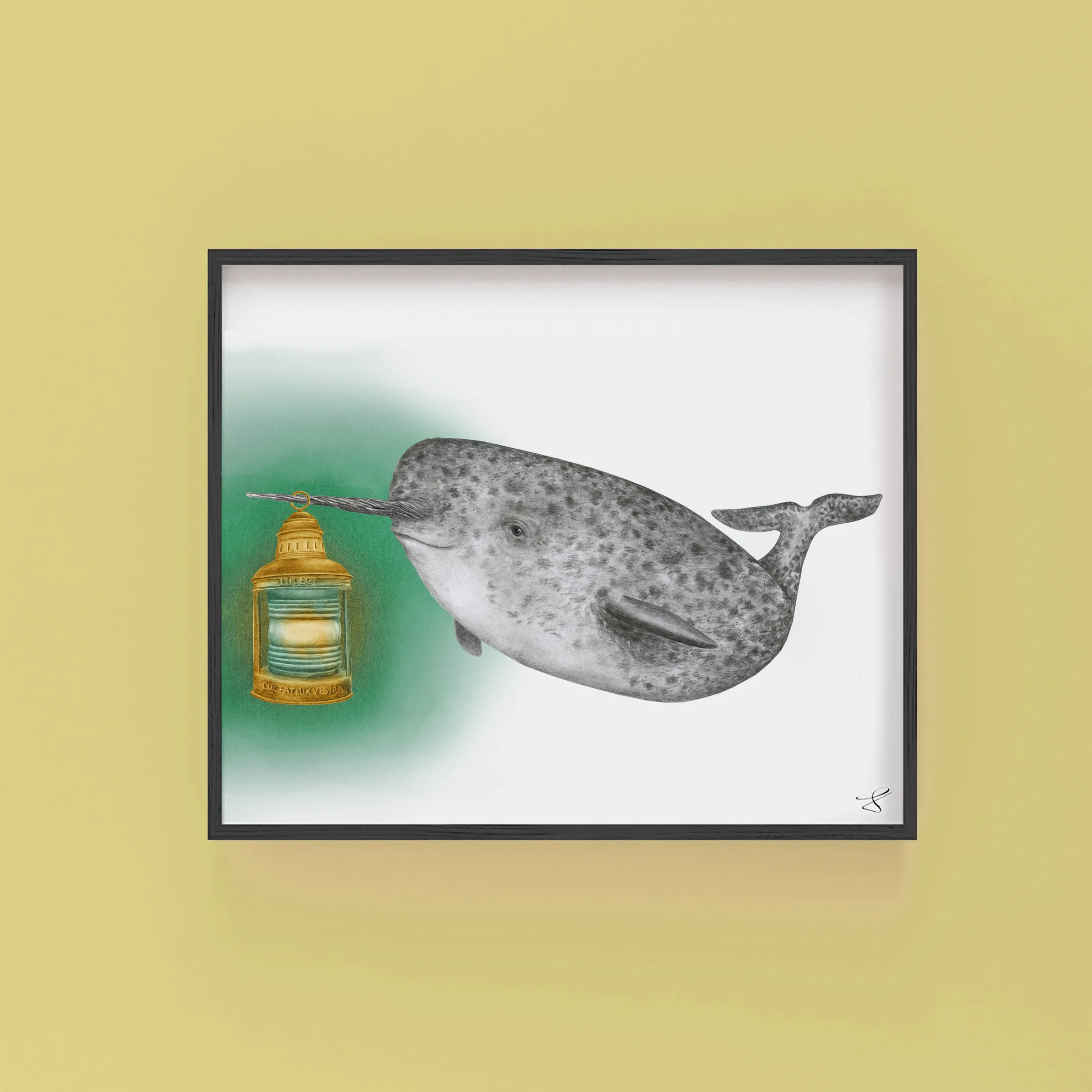 Otis Idlewood Florida Softshell Turtle Portrait Study — Central & Gus