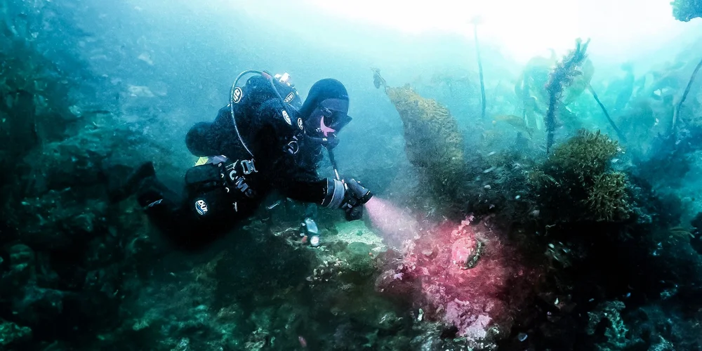Aquafluent Scuba Diving