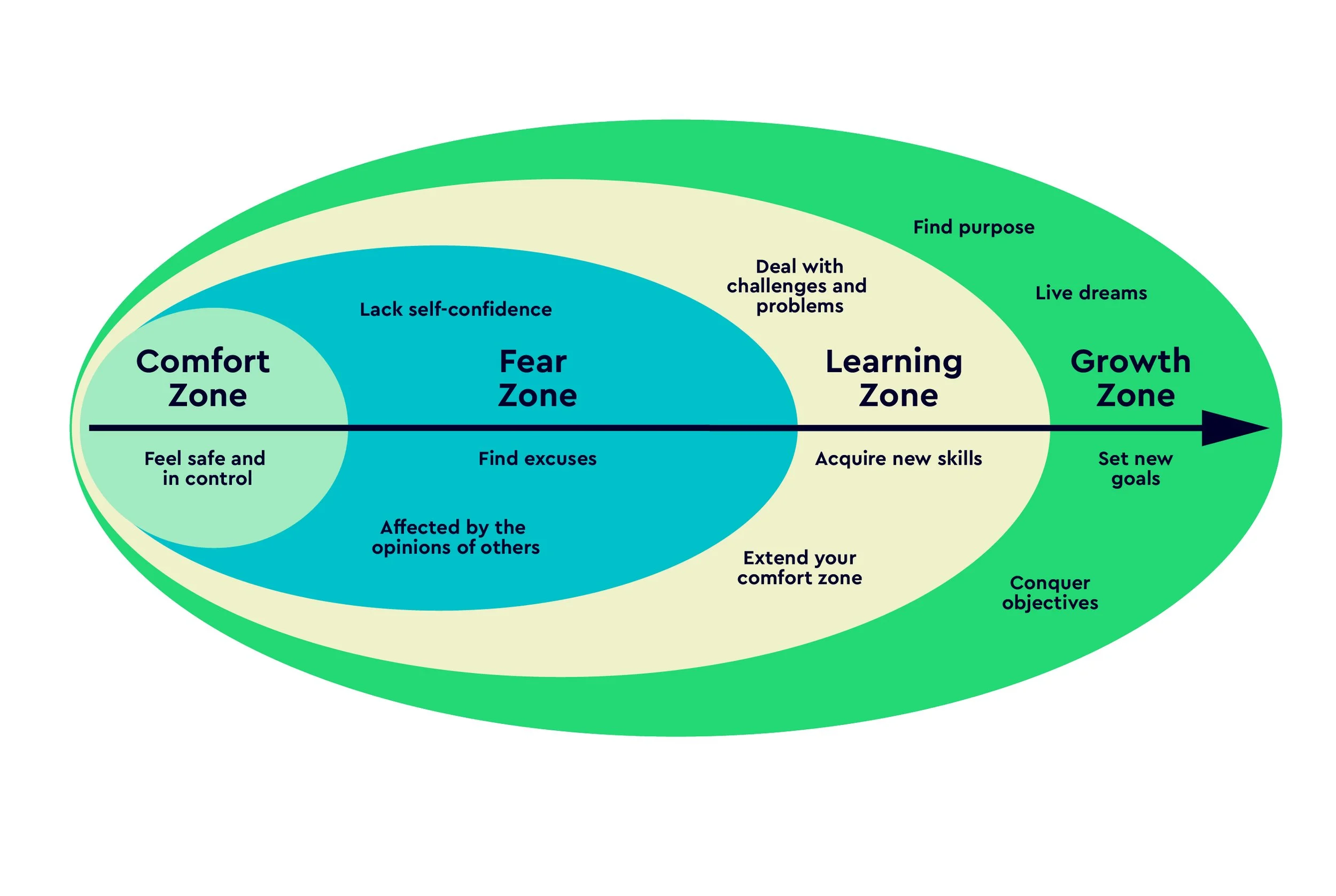 Growth Zone - A Model to Drive Growth — Transverto Consulting