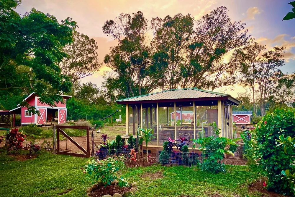 What to Expect on Your Leilani Farm Tour — Leilani Farm Sanctuary