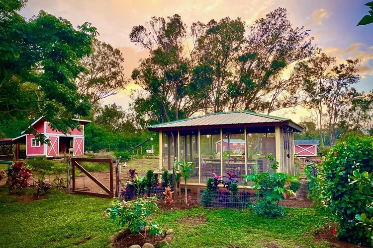 What to Expect on Your Leilani Farm Tour — Leilani Farm Sanctuary