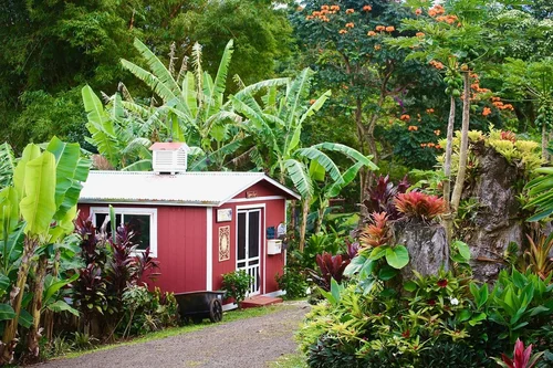 What to Expect on Your Leilani Farm Tour — Leilani Farm Sanctuary